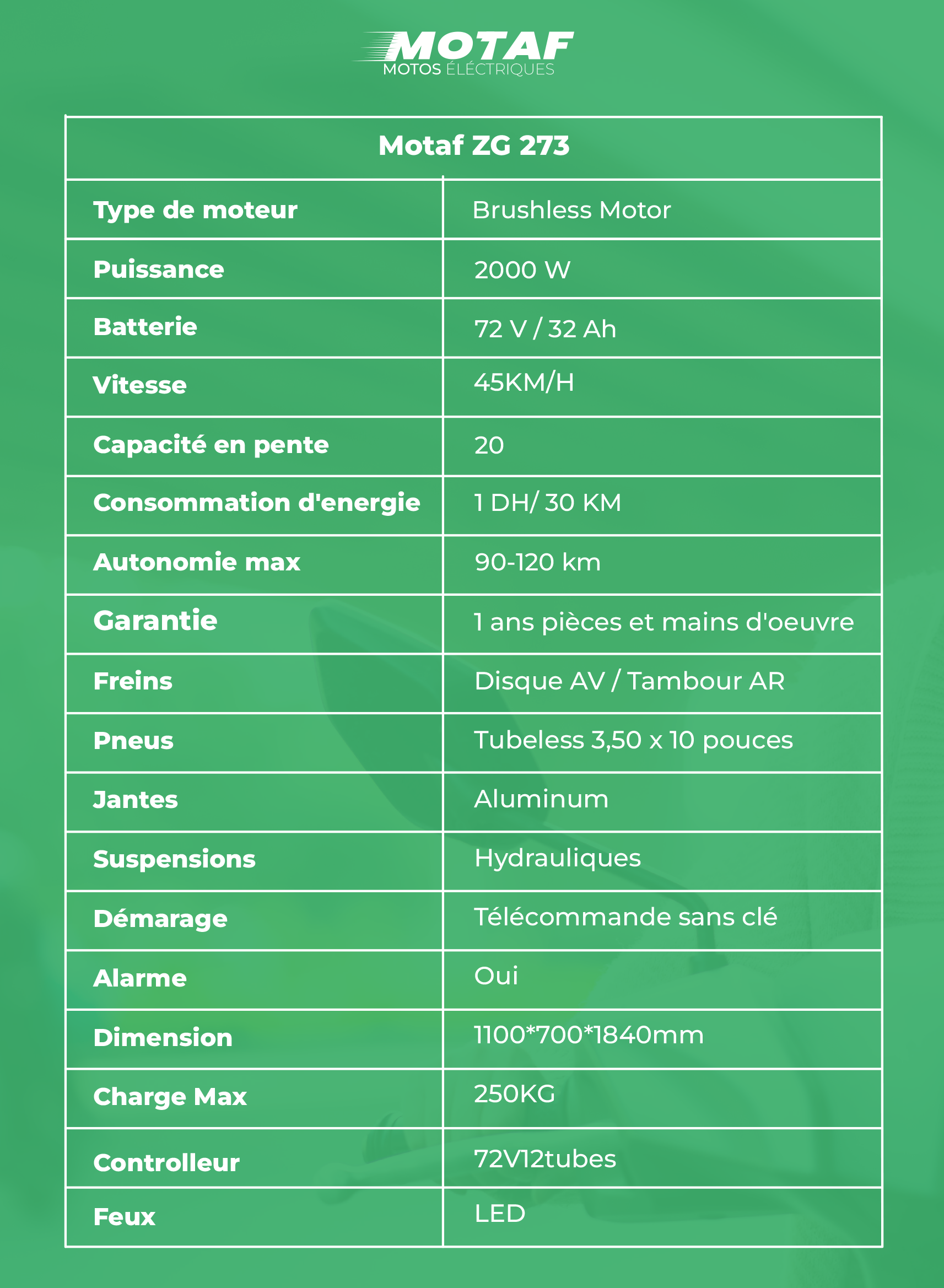 Motaf ZG273 – motaf